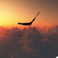 Undomesticated – Let's explore belief systems and how we acquired them